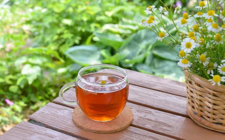 Urban Earth - Leading landscape gardening and design | East Devon ...