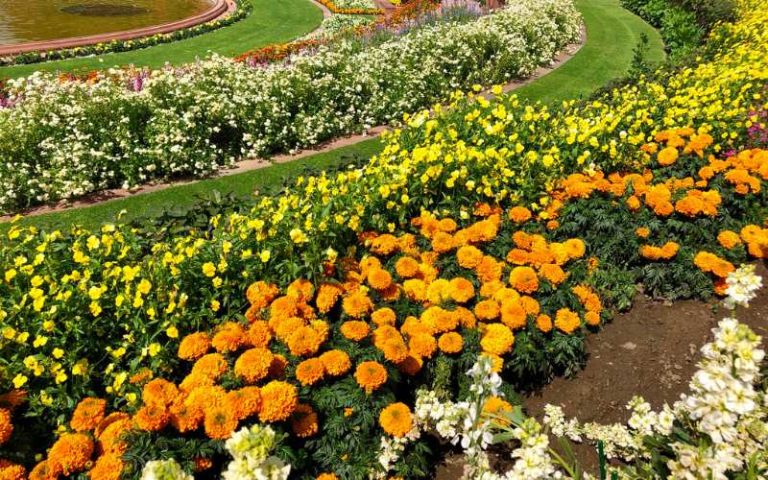 Urban Earth - Leading landscape gardening and design | East Devon ...